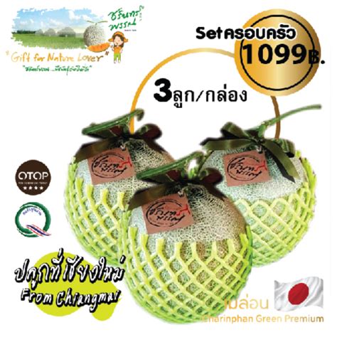 เมล่อนญี่ปุ่นพันธุ์ Kimoji Melon เซตครอบครัว จำนวน 3 ลูก กล่อง