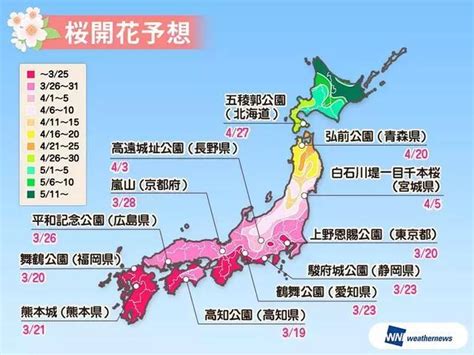 樱花何时开2019年日本新鲜樱前线开花时间表 知乎