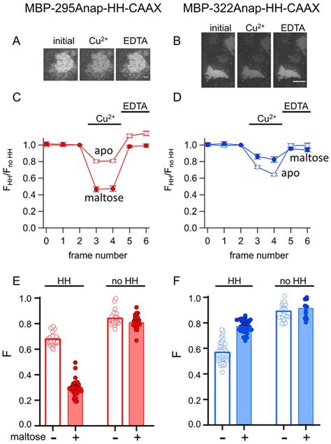 Correction Visualizing Conformational Dynamics Of Proteins In Solution