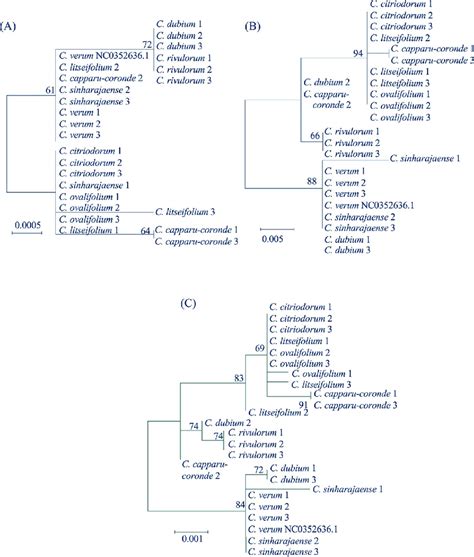 Maximum Likelihood Trees Unrooted Inferred From Dna Barcode Data For