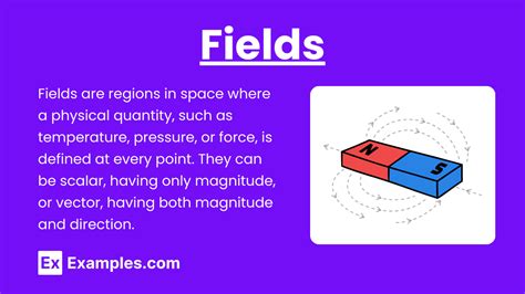 Scalar Vs Vector Field Given The Scalar Field Fx Y Shown Below