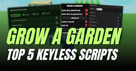 Top 5 Keyless Grow A Garden Scripts 2025 Auto Collect Auto Sell