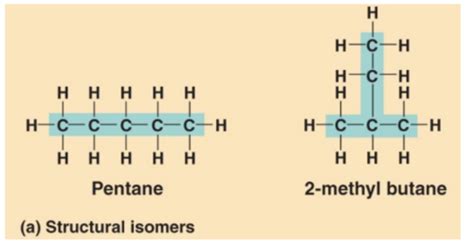 Isomers And Functional Groups Flashcards Quizlet