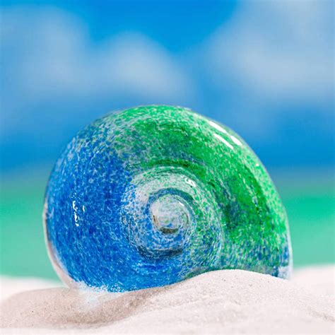 Empty Nautilus Shell Wall Art Elephant Stock