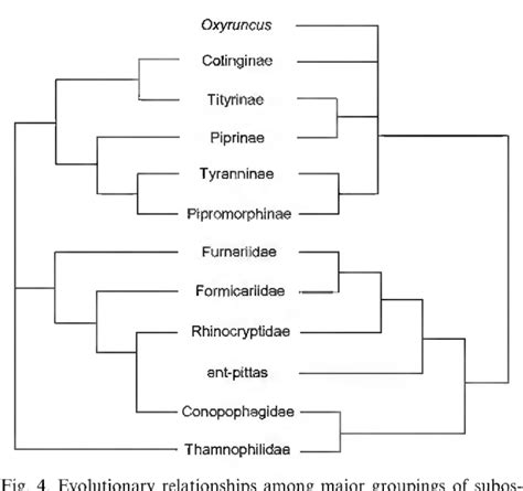 Streptococcus Cristatus Semantic Scholar