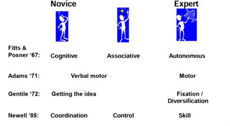Motor Learning Week Flashcards Quizlet