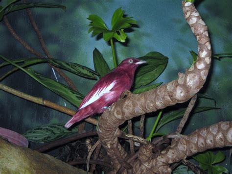 Img2055 Darren Williger Flickr