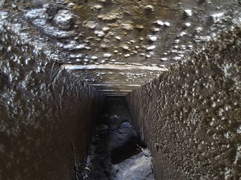 The Merlin Burrows Scans I By Louis De Cordier