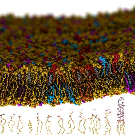 Computational Structural Biology And Molecular Biophysics Publications