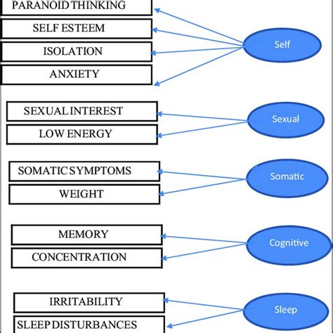 Schematic Representation Of The 5 Factor Model Download Scientific Diagram