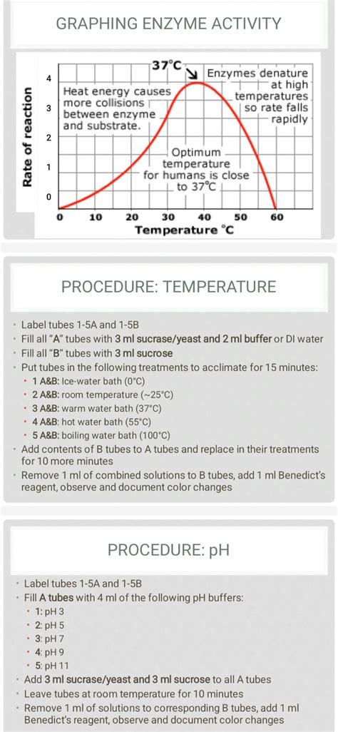 Intro Bio Lab Report Rubric Introduction Points Chegg
