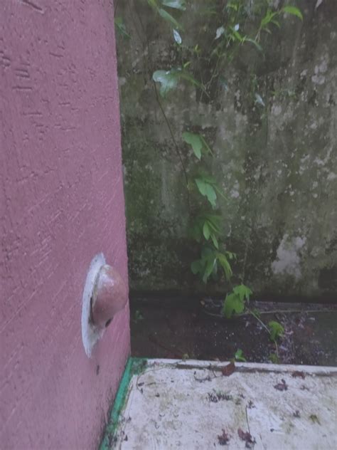 대전시 하수구 뚫는곳 배관 막힘 대전 배수구 뚫는업체 대덕구 하수도 고압세척 유성구 뚫음 뻥 뚫어주는곳 대덕 하수관 배수관 유성