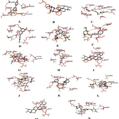 Graphical Representation Of The Molecular Interactions Of The Most Download Scientific Diagram