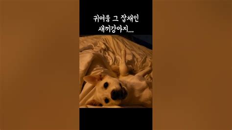 눈 마주칠 때마다 심장 아림 주의 ⚠ Youtube