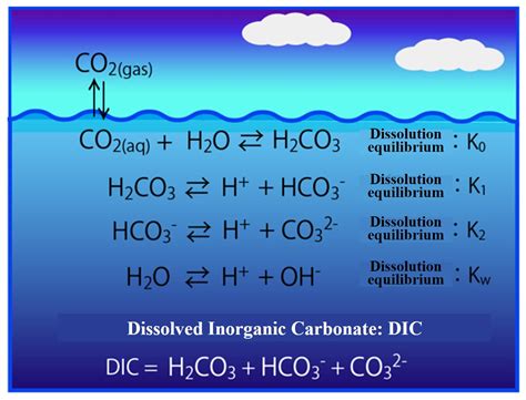 Carbonic Acid Equation
