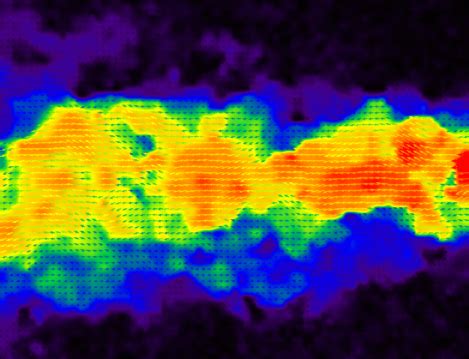 Imagej Plugins Lulivisions