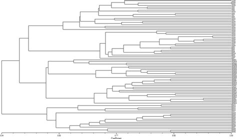 Dendrogram Obtained By Upgma For 83 Mulberry Genotypes Based On Issr