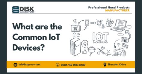 What Are The Common IoT Devices