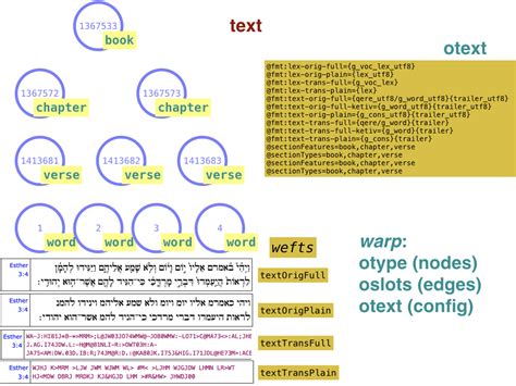 Tf About Datamodel Api Documentation