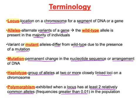 Genetics Single Gene Disorders Block 2 Set Flashcards Quizlet