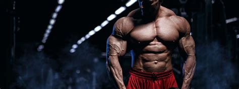 Myostatin The Protein That Regulates Muscle Growth