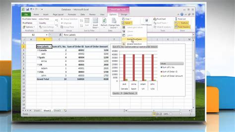 How To Delete A Pivottable Or Pivotchart Report In Microsoft® Excel 2010 Youtube