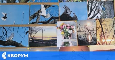 Професионална гимназия по облекло и текстил в Дулово организира фотографска изложба Пробуждане