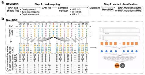 Bhaskara Reddy Sannapureddy On Linkedin Demining A Deep Learning