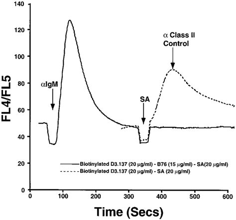 Bcr Dependent Signal Transduction Mediates Desensitization Of Class Ii Download Scientific