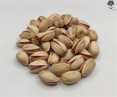 Greek Aegina Pistachio Nuts Unsalted And Roasted In Shell Pdo Product