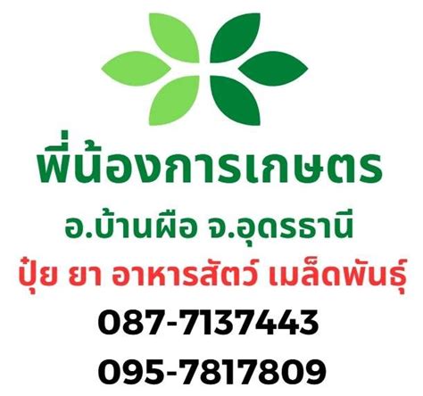 Tpi สถานีสุวรรณภูมิ สถานีแหล่งข่าวสารที่นำเสนอสาระสำคัญทุกแง่มุมไม่ว่าจะเป็นข่าวการเมือง