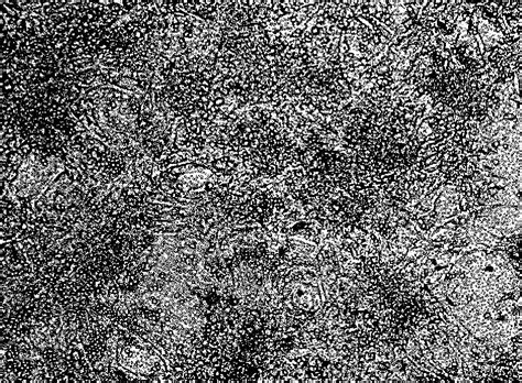 Algorithm Matlab Image Analysis Trying To Detect Direction Of Movement Stack Overflow