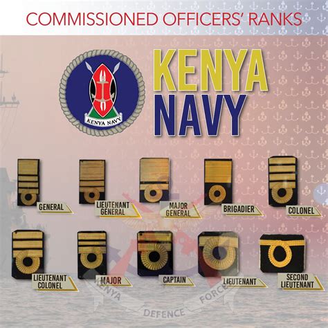 What Is The Difference Between Kdf And Kenya Army At Ethel Pigford Blog