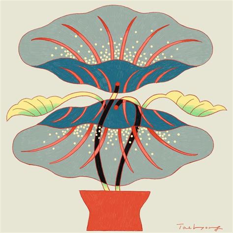 Taehyoung Jeon Maria🇰🇷 On Instagram Beautiful Inside And Outside 식물드로잉 아이패드 프로크리에이트 일러스트