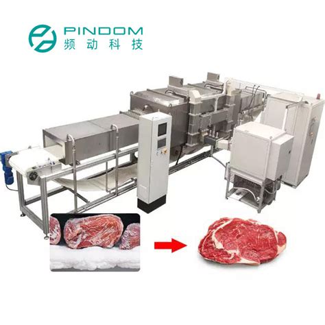 Meat Thawing Machine Food Fruit Thawing Machine Defrost Equipment