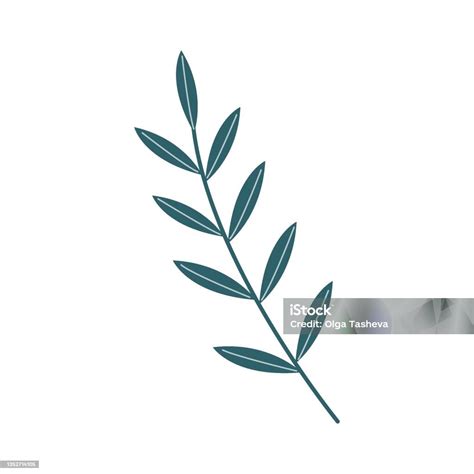 흰색 배경에 격리된 나뭇잎이 있는 분기입니다 귀여운 손으로 그린 스타일의 벡터 요소 미용 식물 학적 그림 미적 디자인 일러스트레이션에 대한 스톡 벡터 아트 및 기타 이미지