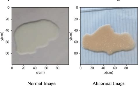 Figure 1 From Real Time Mastitis Detection In Livestock Using Deep