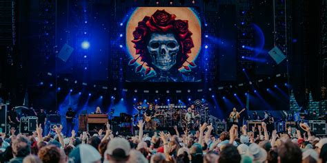 Dead And Company Reviews Bird Ramonda