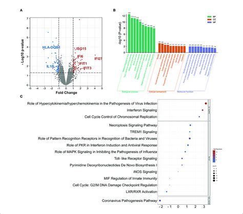 The Rna Seq And Deg Analysis Among Inr And Ir Groups A The Volcano