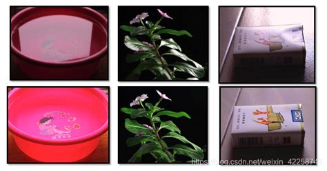 光源基础知识及光源选型 Csdn博客