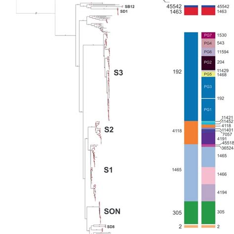 Population Structure Of 493 Shigella And E Coli Reference Genomes