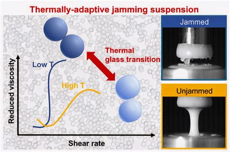 Leveraging The Polymer Glass Transition Mrsec
