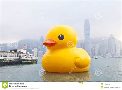 Rubber Duck In Hong Kong Editorial Photo Image Of Popular 31410371
