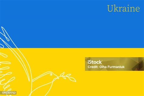 비둘기와 올리브 가지가있는 우크라이나 국기 배경 평화와 자유의 상징 독립의 국가 파란 황색 표시 배경 국가 벽지 격리됨벡터 일러스트 레이 션 2022년에 대한 스톡 벡터