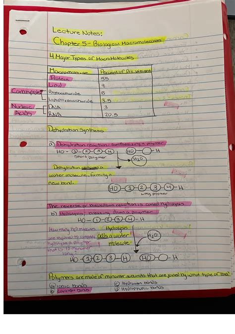 Chapter 5 Structure And Function Of Large Biological Molecules Biol