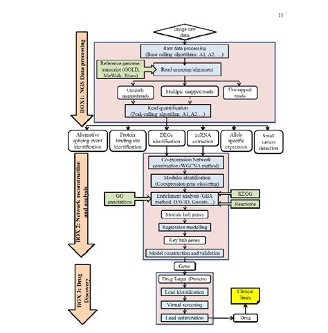 The Workflow Of Ngs Source Recent Advancement In Next Generation