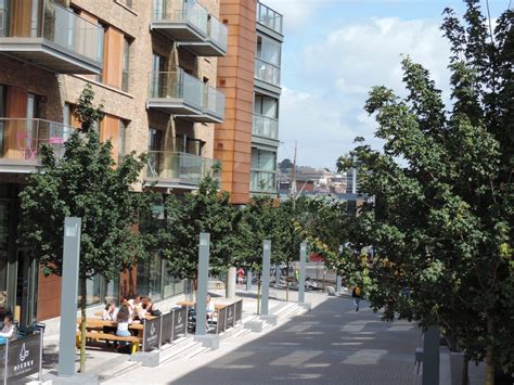 How Urban Trees Make Cities More Livable GreenBlue Urban