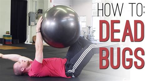 Deadbugs How To Perform The Deadbug With A Stabilityswiss Ball Youtube Deadbugs How To Perform The Deadbug With A Stabilityswiss Ball Youtube