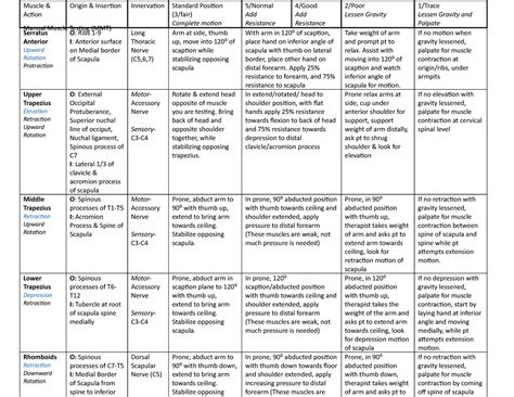 Mmt Chart Lecture Notes 3 4 5 6 Manual Muscle Testing Mmt