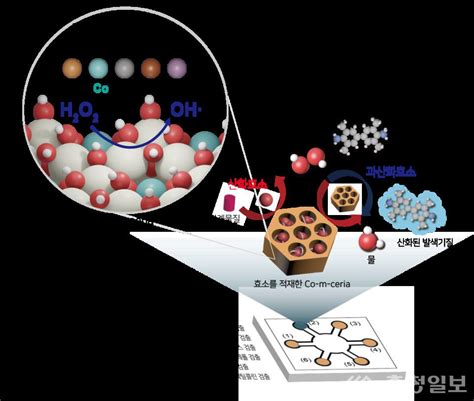 Kaist 6개 표적물질 동시 검출 질병 물질 검출 종이센서 개발 Zum 뉴스